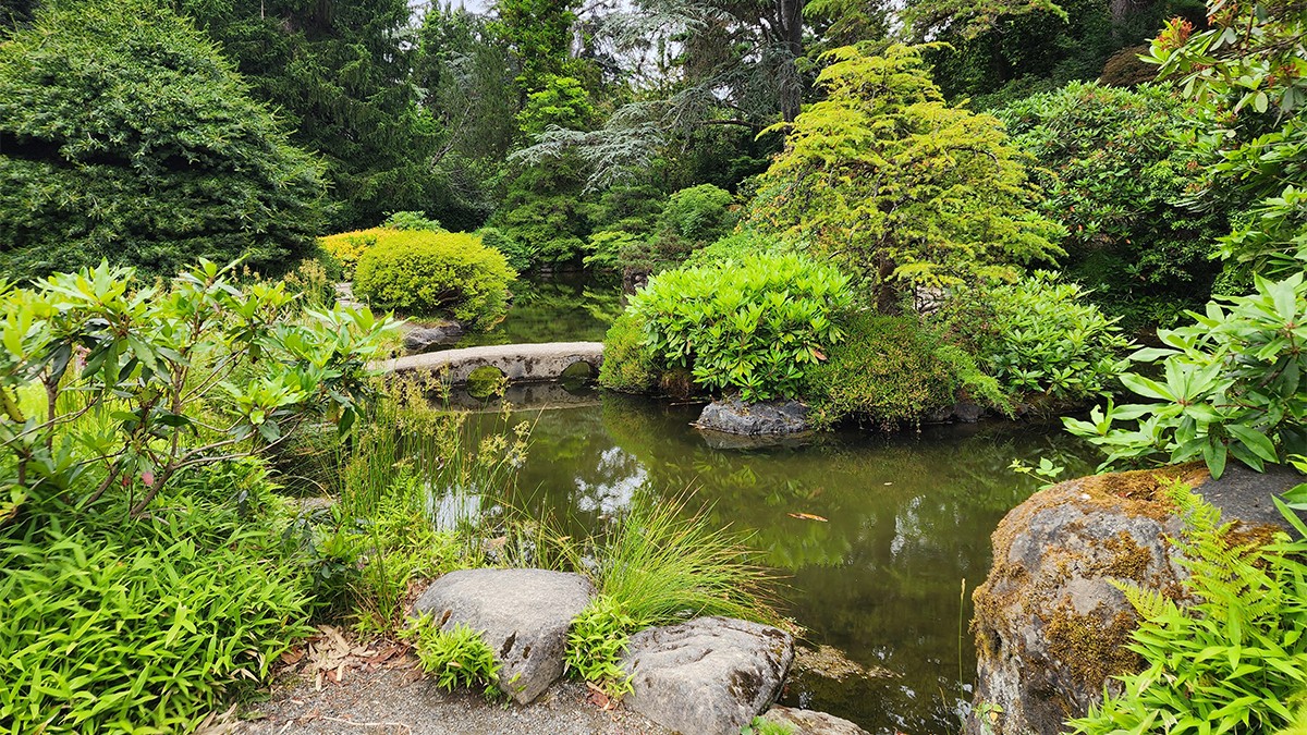 Kubota Garden | TCLF