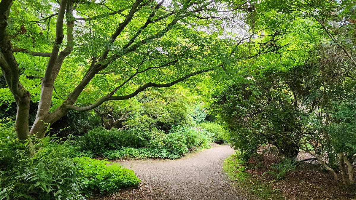 Kubota Garden | TCLF