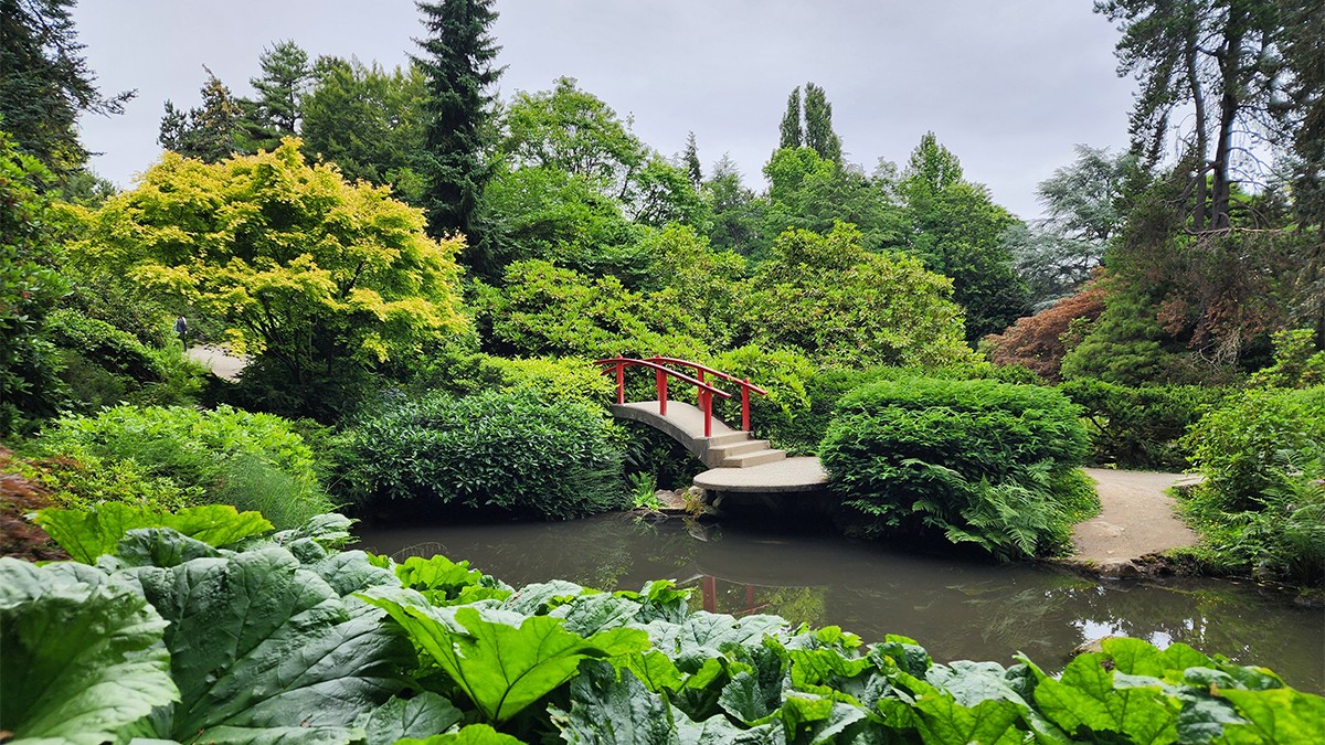 Kubota Garden | TCLF