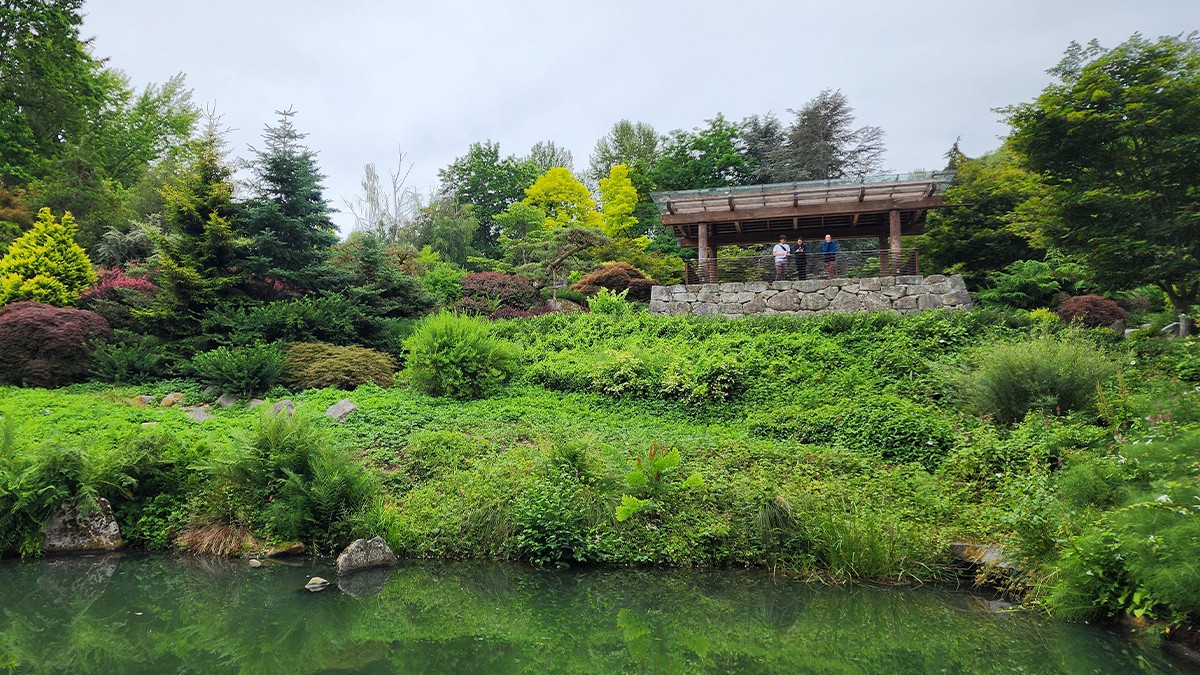 Kubota Garden | TCLF