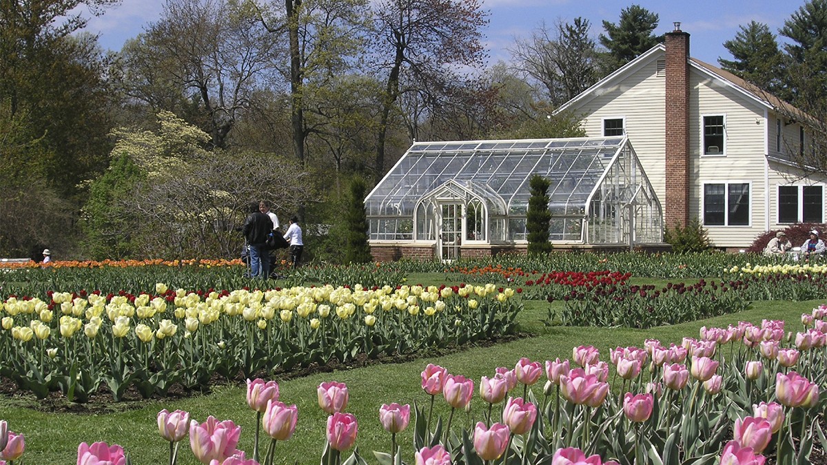 Elizabeth Park | TCLF
