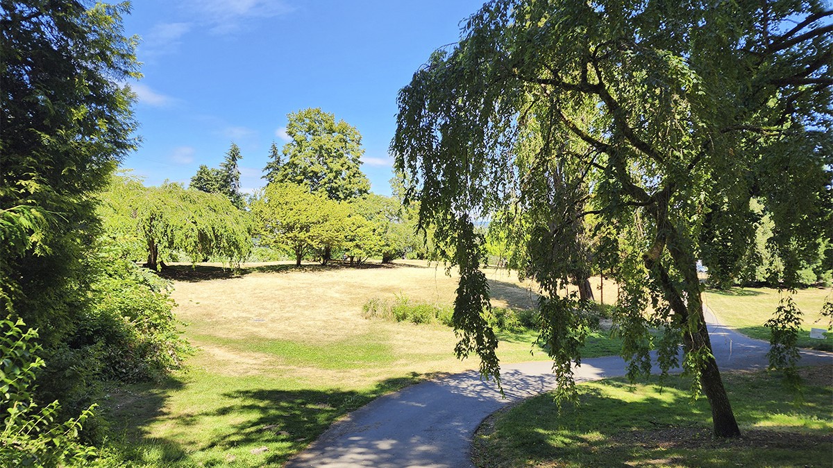 Leschi Park | TCLF