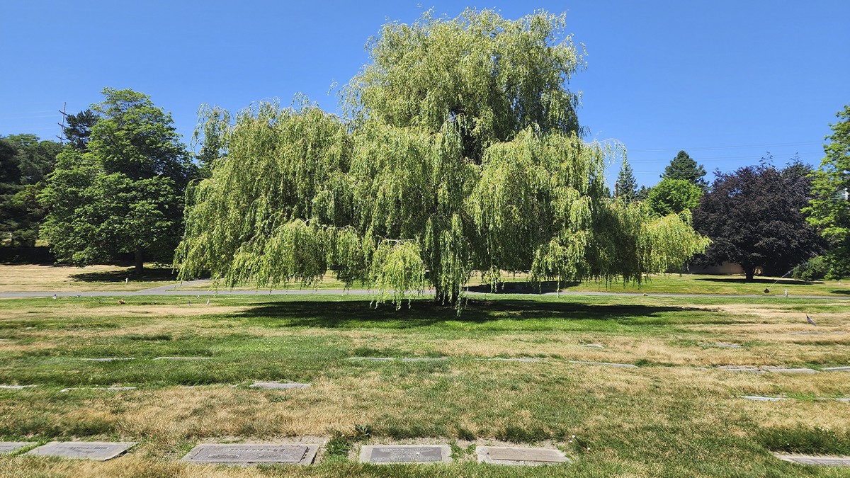 Evergreen Washelli Cemetery | TCLF