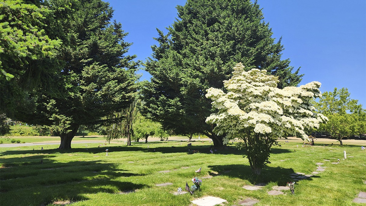 Evergreen Washelli Cemetery | TCLF