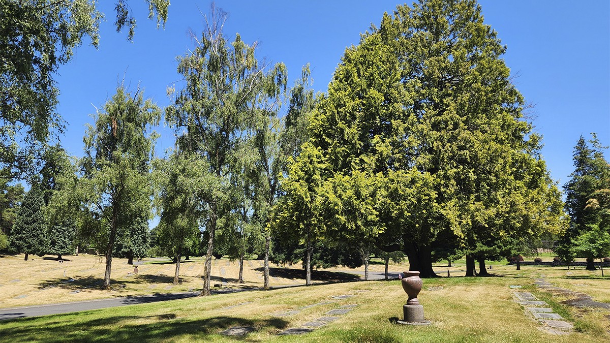 Evergreen Washelli Cemetery | TCLF