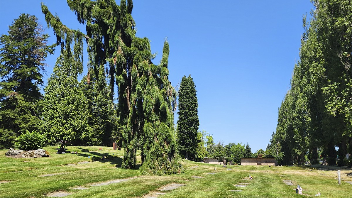 Evergreen Washelli Cemetery | TCLF