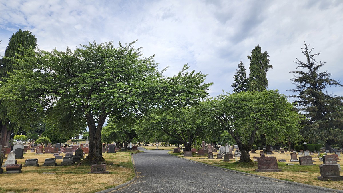 Lake View Cemetery | TCLF