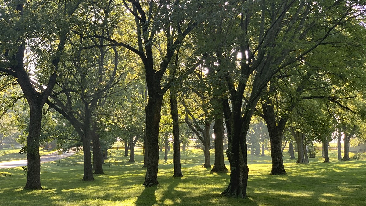George Washington Carver National Monument | TCLF