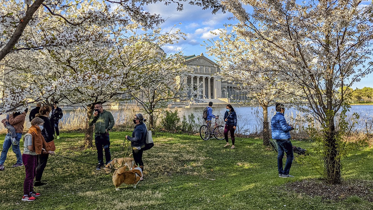 Jackson Park | TCLF
