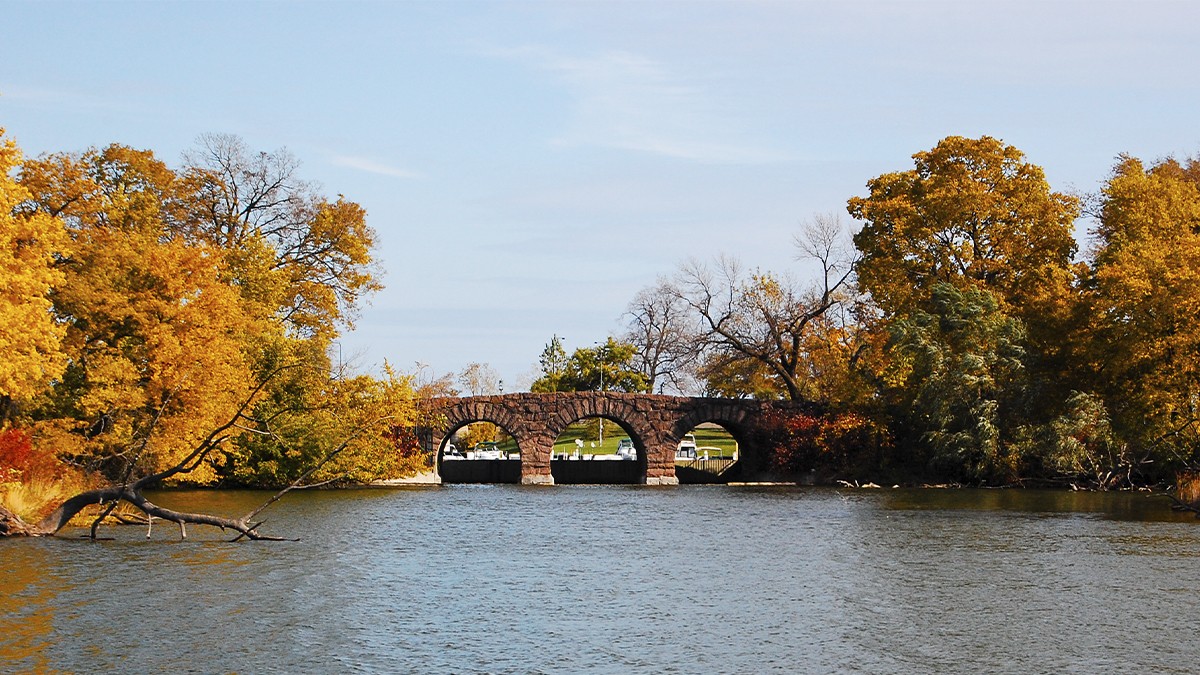Jackson Park | TCLF