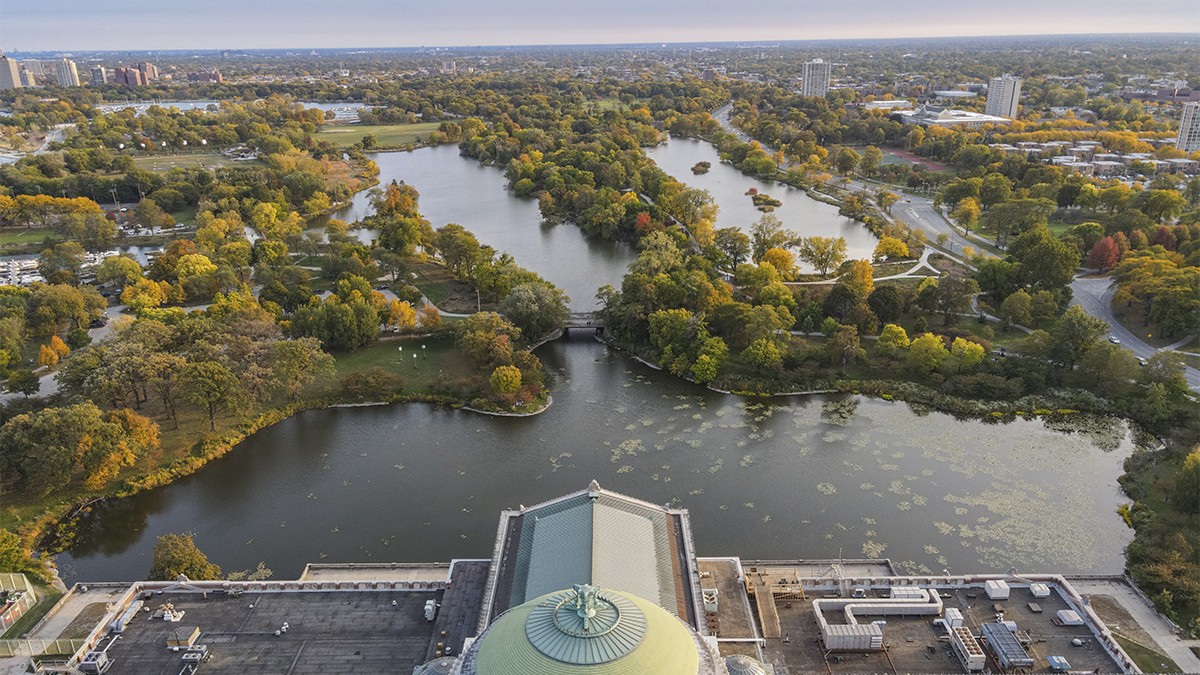 Jackson Park | TCLF