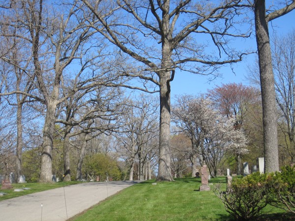 Lake Forest Cemetery | TCLF
