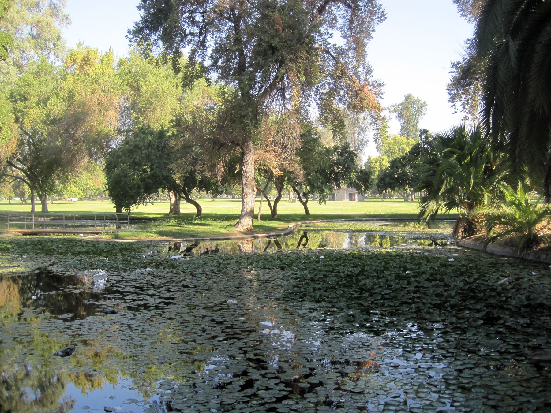 Roeding Park | TCLF