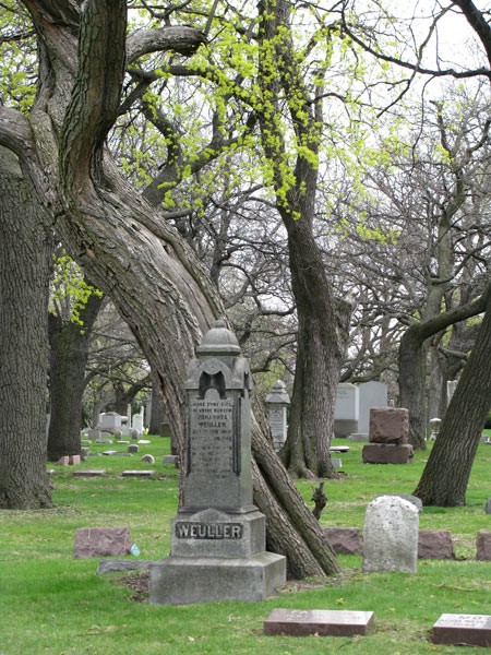 Rosehill Cemetery - IL | TCLF