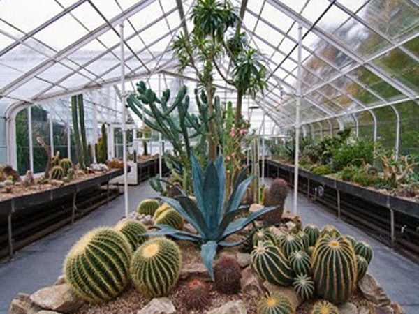 Volunteer Park Conservatory | TCLF