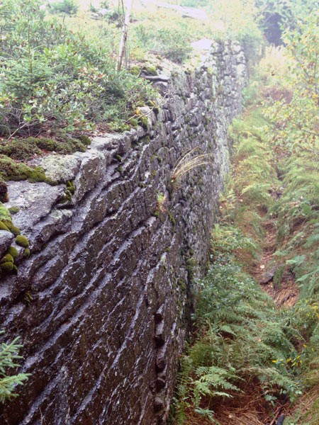 Squirrel Island Summer Colony | TCLF