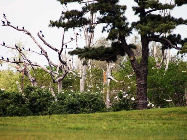 Pontchartrain Park | TCLF