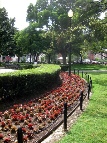 Dupont Circle | TCLF