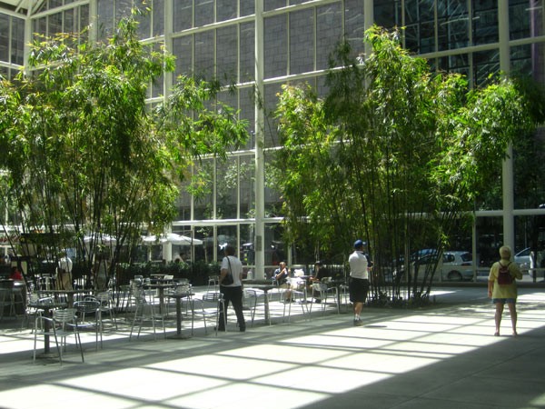 590 Madison Avenue Atrium | TCLF