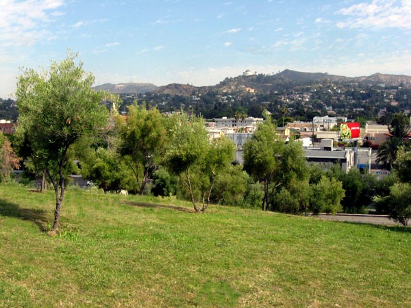 Barnsdall Art Park | TCLF