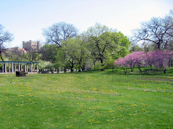 Garfield Park - Chicago | TCLF