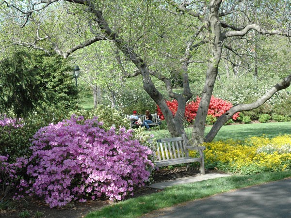 Azalea Garden | TCLF