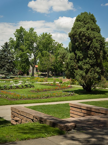 Alamo Placita Park | TCLF
