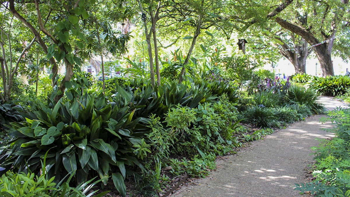 Alcée Fortier Park | TCLF