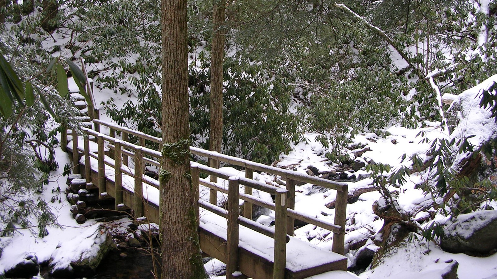 Benton MacKaye | TCLF