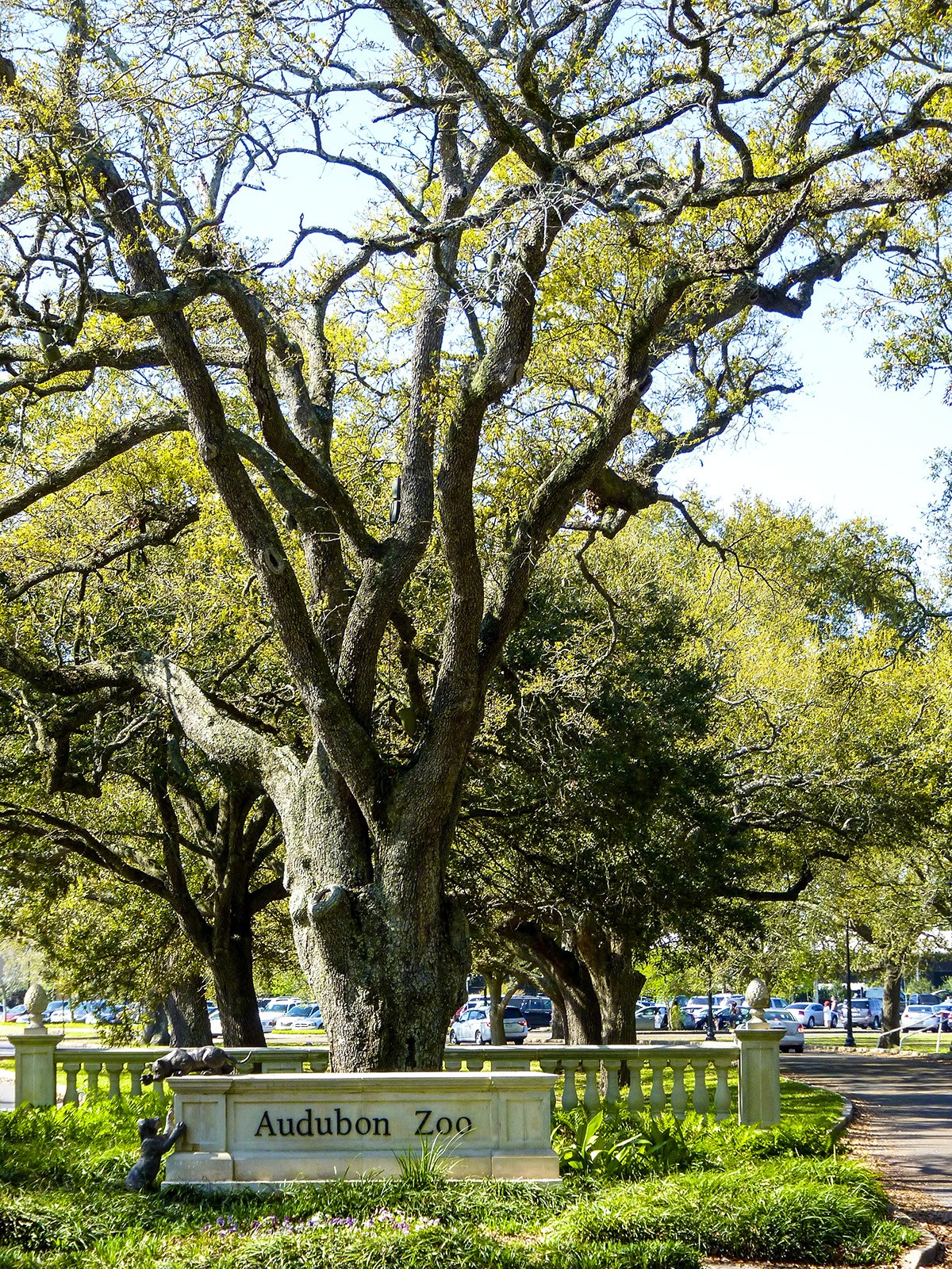 Audubon Zoo | TCLF