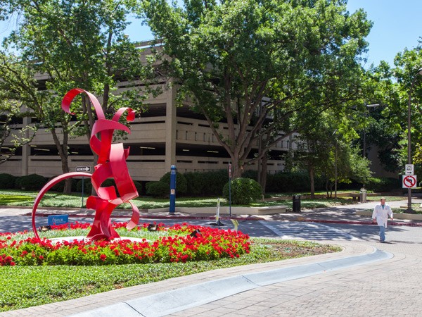 Baylor University Medical Center | TCLF