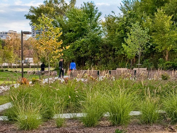 Beecroft Parkettes | TCLF