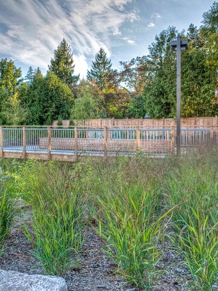 Beecroft Parkettes | TCLF
