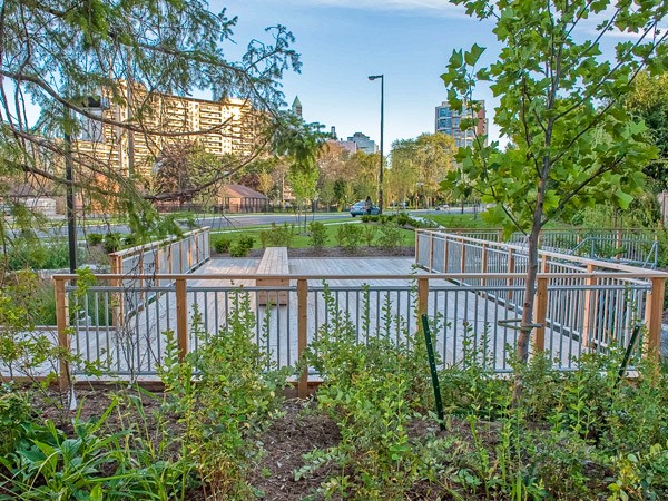 Beecroft Parkettes | TCLF