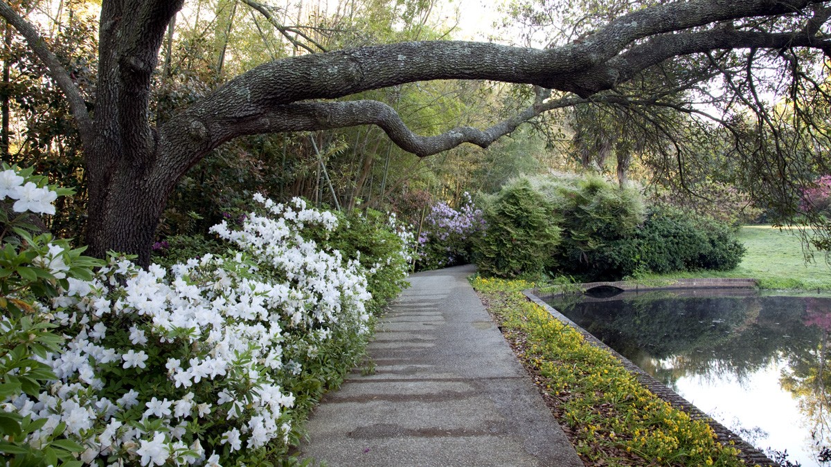 Bellingrath Gardens | TCLF