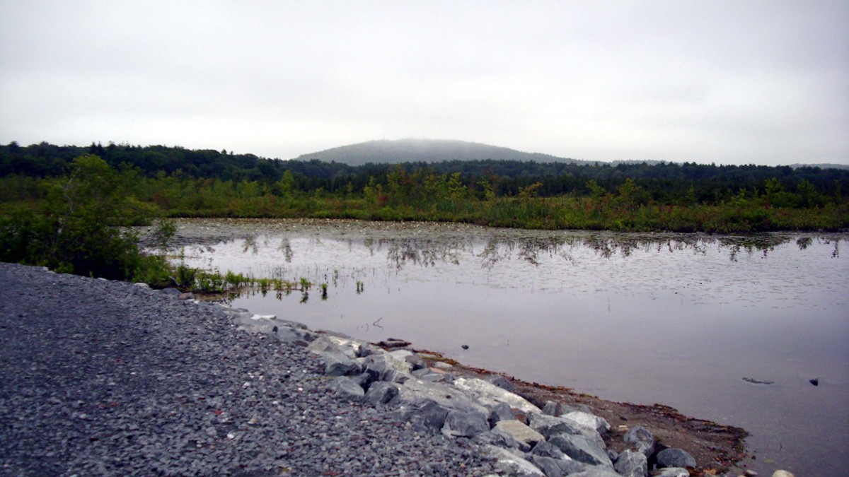 Blue Hills Reservation | TCLF