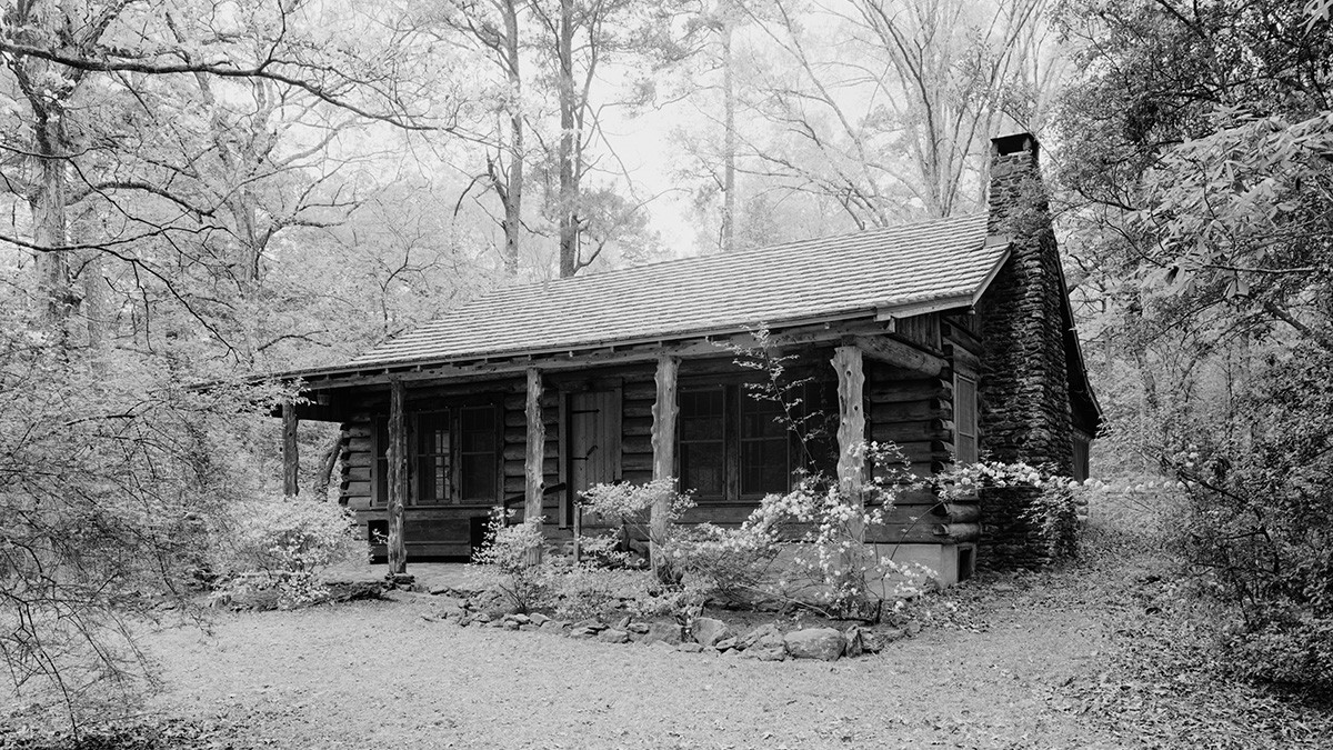 Caroline Coroneos Dormon | TCLF