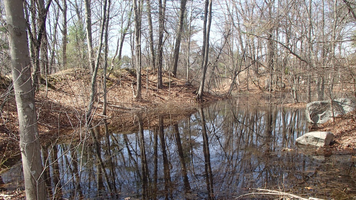 Brook Farm Historic Site | TCLF