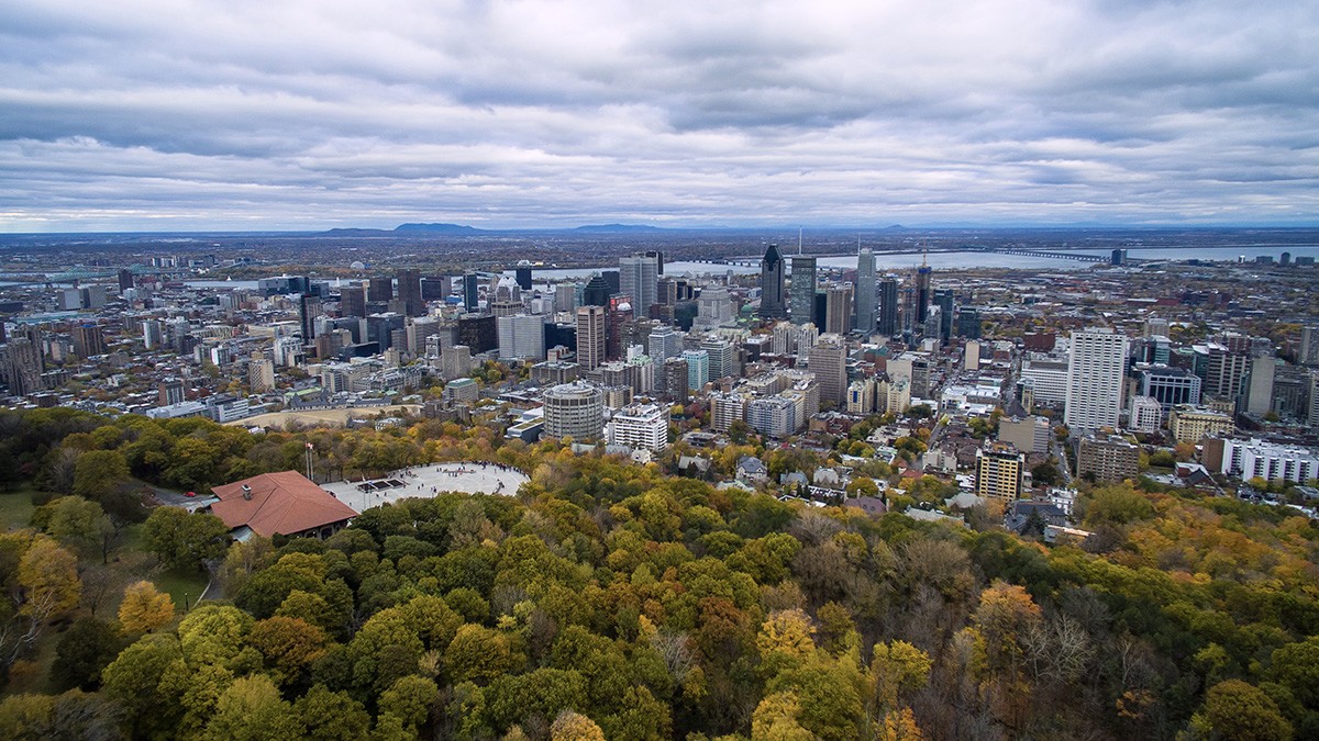 Mount Royal | TCLF