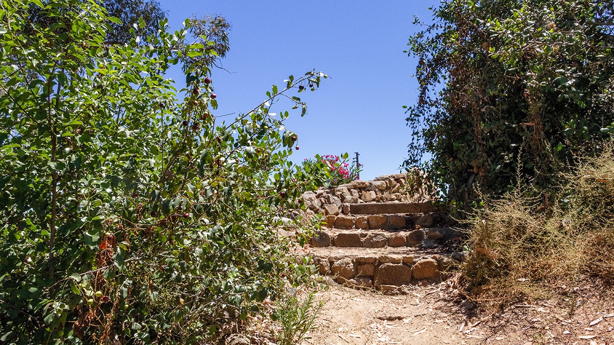 Mount Helix Park | TCLF