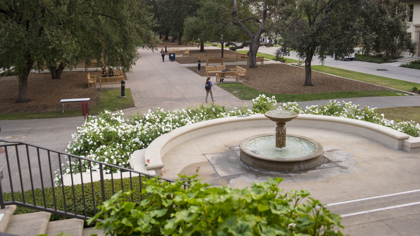 Howard Troller | TCLF