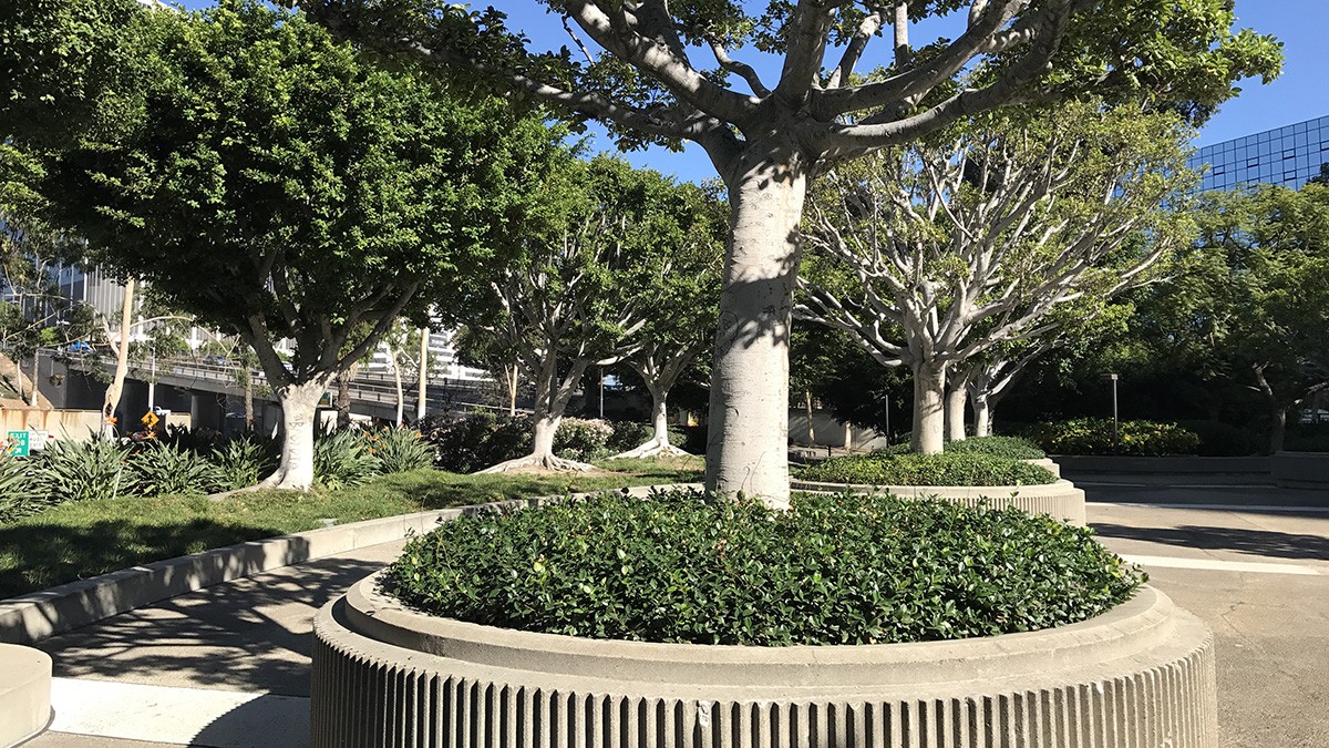 Union Bank Plaza | TCLF