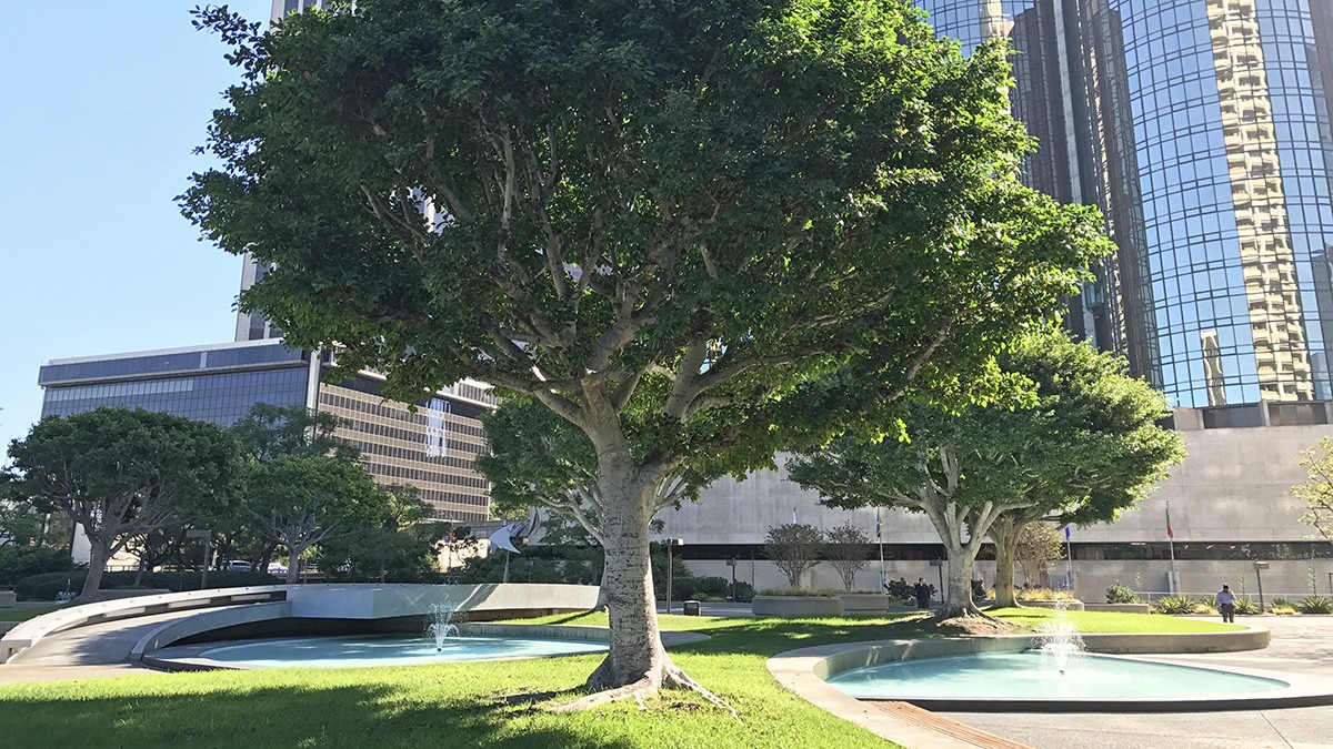 Union Bank Plaza | TCLF