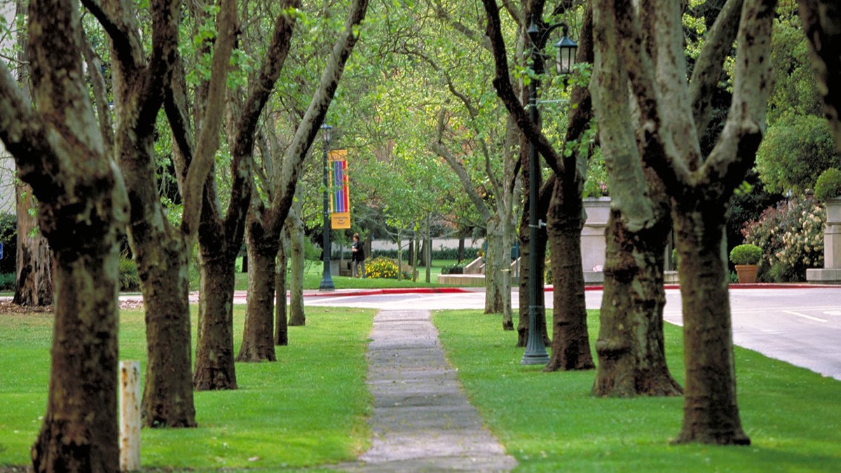 Mills College | TCLF