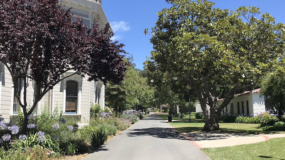 Mills College | TCLF