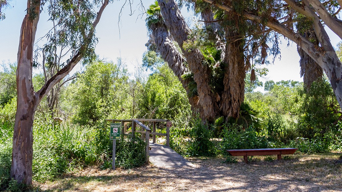 Guajome Regional Park | TCLF