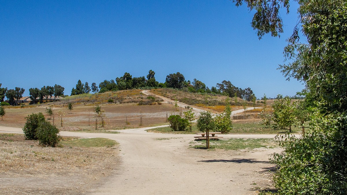 Guajome Regional Park | TCLF