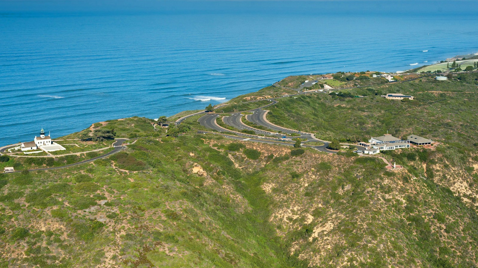 Thomas Chalmers Vint | TCLF