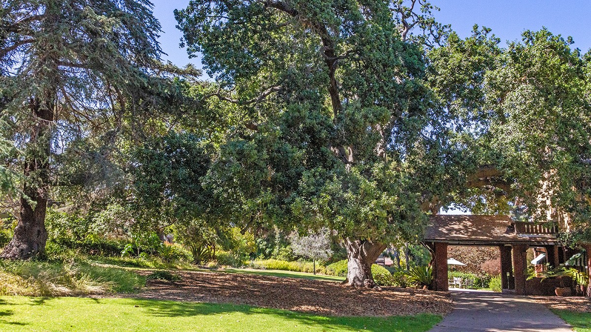 Marston House Museum and Gardens | TCLF