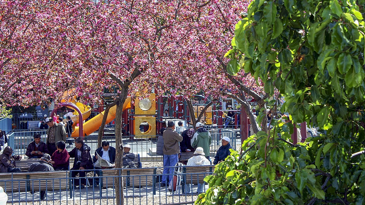 Portsmouth Square | TCLF